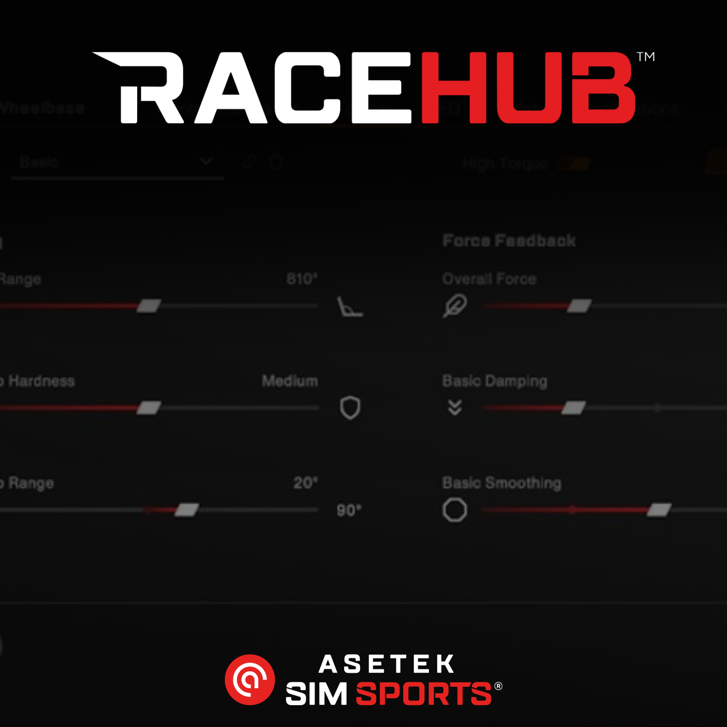 Asetek SimSports® Start Your Sim Racing Journey Here